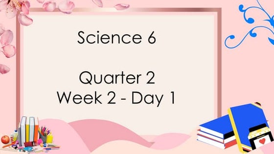 Science6_Q2_Mod1_TheHumanBodySystems_V4 (2).pdf | Skin and Dermatology ...