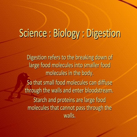 Digestive System | PPT