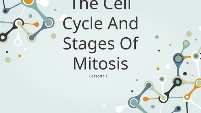 Difference between mitosis and meiosis | PPT