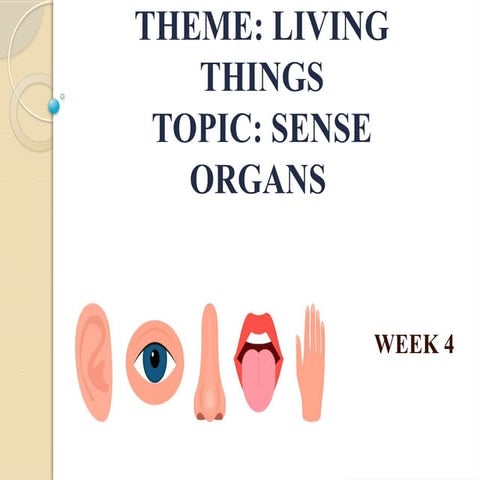 SCIENCE - SENSE ORGANS OF THE HUMAN BODY.pptx