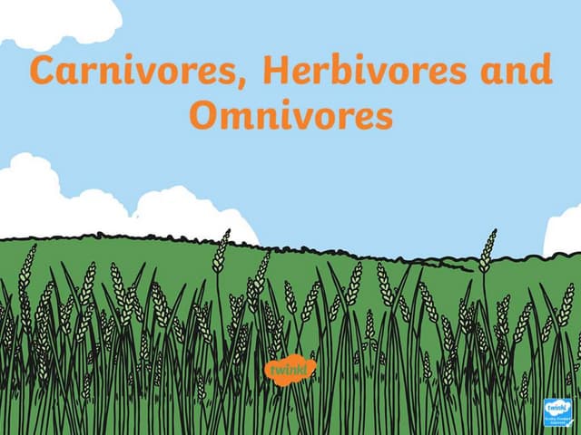 Herbivore, carnivore and omnivore animals | PPT