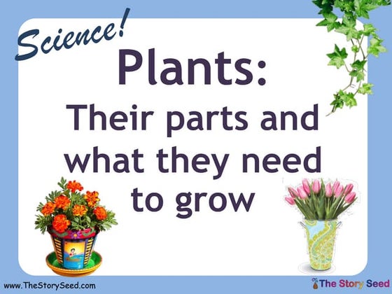 Second Grade Science: Plants | PPT