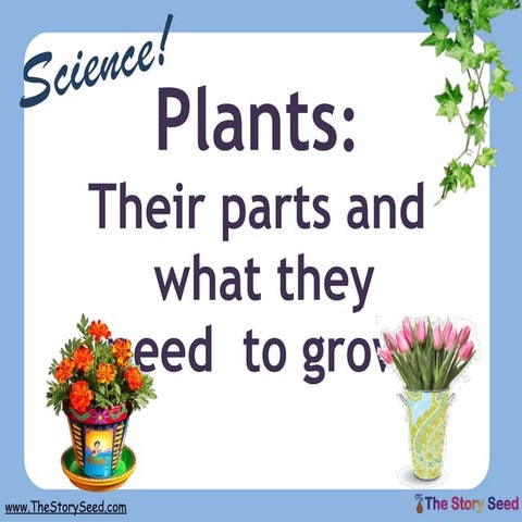 Science-What-do-plants-need-to-grow-PowerPoint.pptx
