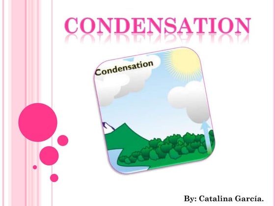 Refluxing Condensation Systems (Dephlegmators) | PDF