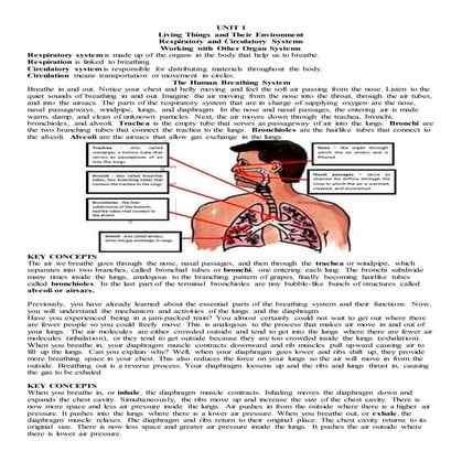 Science | Grade 9 - 1st Quarter | PDF