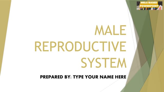 ESP 10 Q2 Module 4 ADM MODULE.. PANANAGUTAN SA KAHIHINATNAN NG KILOS AT PASIYA | PPTX
