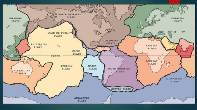 Continental drift theory evidences Activity sheet | DOCX | Geology ...
