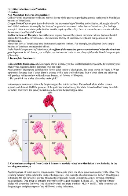 Sex limited traits and sex-influenced traits | PPTX | Genetics | Science