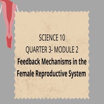 FEEDBACK MECHANISMS INVOLVED IN REGULATING PROCESSES IN THE FEMALE ...