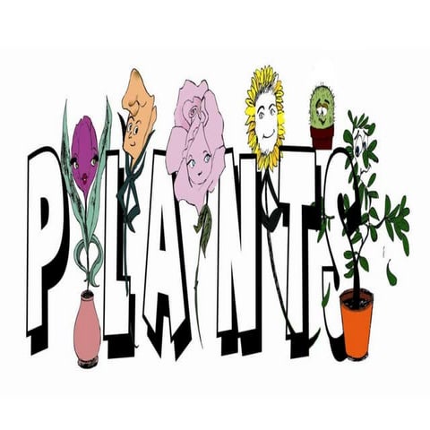 Science 3 Plant Parts Root And Stems Pptx