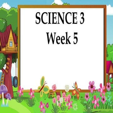 Two types of Light Science 3 PPT WEEK 4 - Day 3.pptx