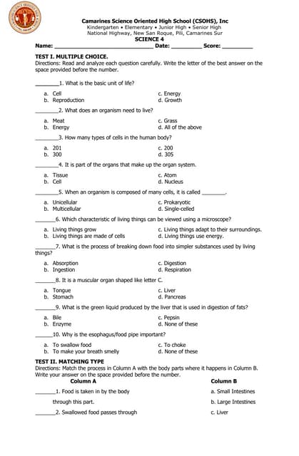 Grade 7 ns exam | PDF