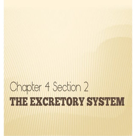 Excretory System | PPT