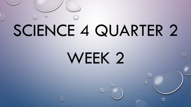 Q2_LE_ Science 4_Lesson 2_Week week 4 Science 4 2.pdf