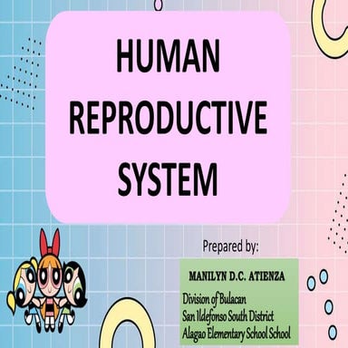 SCIENCE 5-Human Reproductive System.pptx