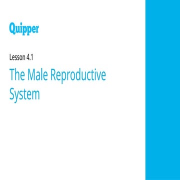 Science 5 4.1 The Male Reproductive System.pptx