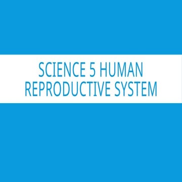 science grade 5 the human reproductive system.pptx