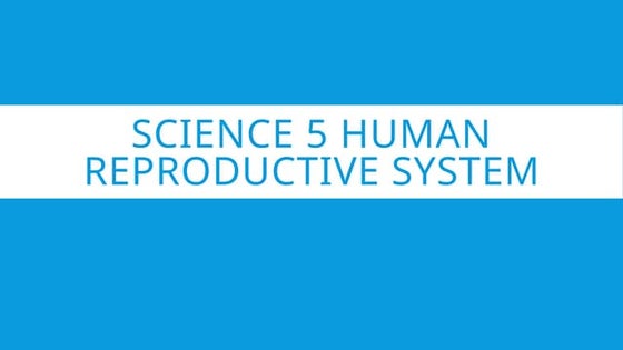 Reproductive system 6º grade | PPT