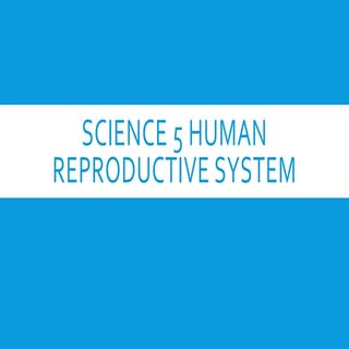 Upload & Share Presentations, Documents & Infographics