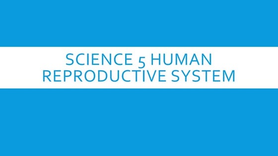 grade 5 science materials properties.pptx | Chemistry | Science