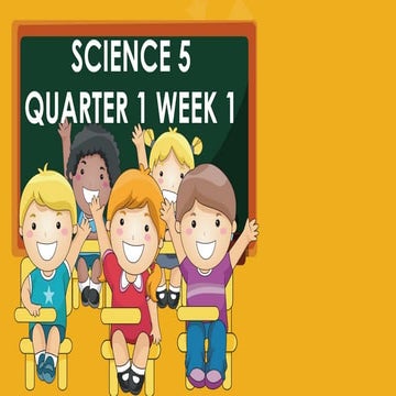 Changes that materials undergo GRADE 5 | PDF