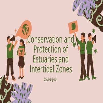 Exploring Key Environmental Concepts: Ecosystems, Renewable Energy, and ...