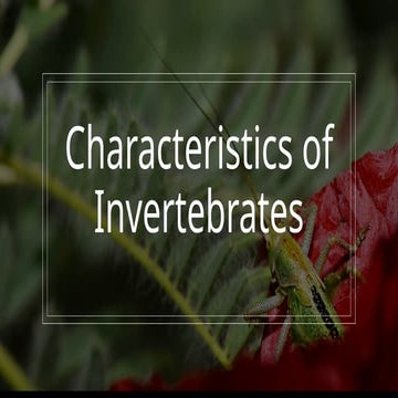 Science 6- Characteristics of Invertebrates.pptx