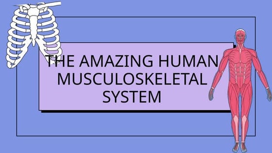The muscular system powerpoint | PPT