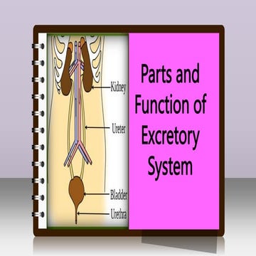 Science 6_Q2_L4_Parts and Function of Excretory System.pptx