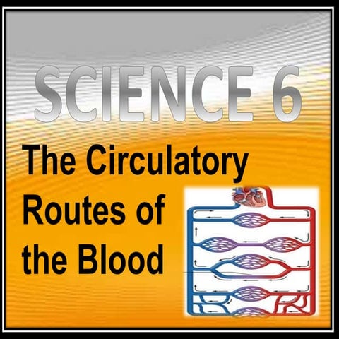 Science6 Q2 week3-circulatory routes of the blood.pptx