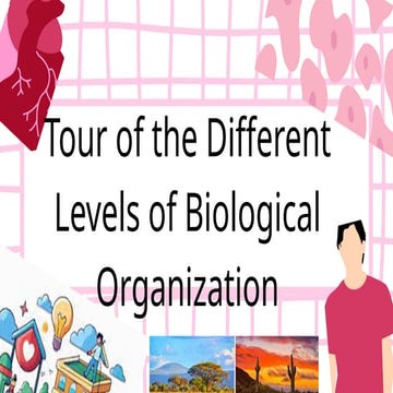 Levels of biological organization | PPT