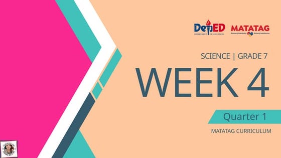 Policy-Guidelines-on-the-Implementation-of-STE-Program_CLMD-ROIII-1 (1).pdf