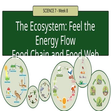 Science 7 - Week 8 Power point presentation | PPTX