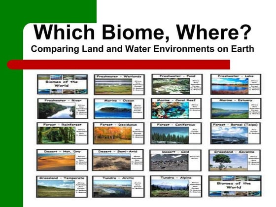 Environmental studies slides, grade 10 | PPTX
