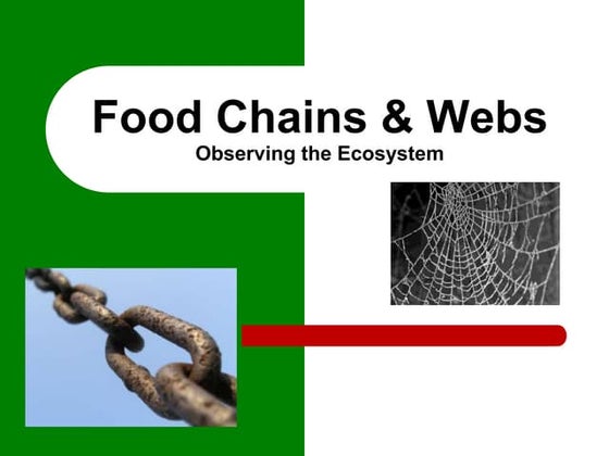 5e lesson plan – food chain | PPT