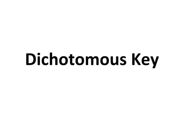5.00 dichotomous keys 2010 | PPT | Databases | Computer Software and ...