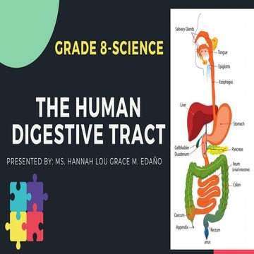 Science 8 Digestive System.pptx