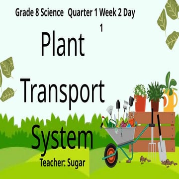 Plant Transport System | PPT