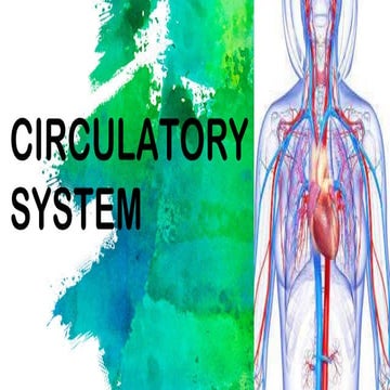 Circulatory System | PPT