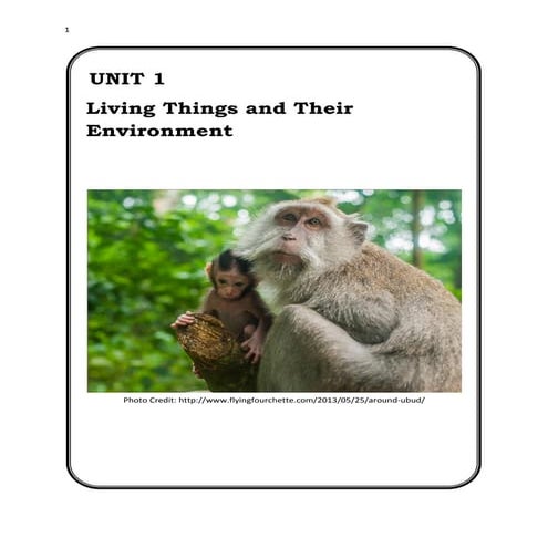 AПDЯЄÏ ѪAПÏБβΔS Science 9 LM | PDF