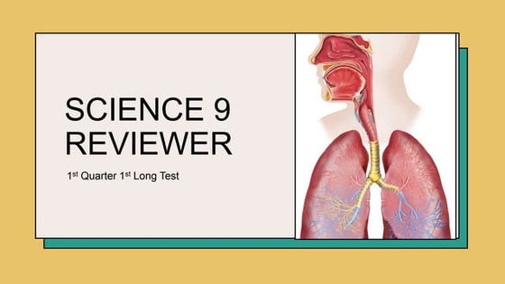 Science | Grade 9 - 1st Quarter | PDF | Lung and Respiratory Health ...