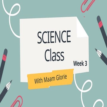 heredity and genetics powerpoint presentation for grade 9 learners ...