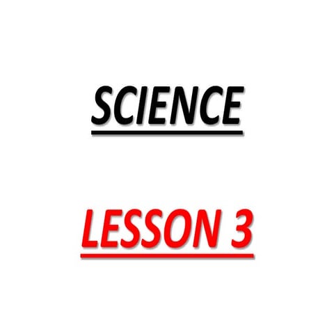Science answer key class 6 | PPTX