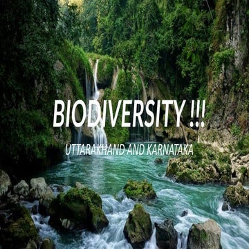 SCIENCE ART INTEGRATION.pdf