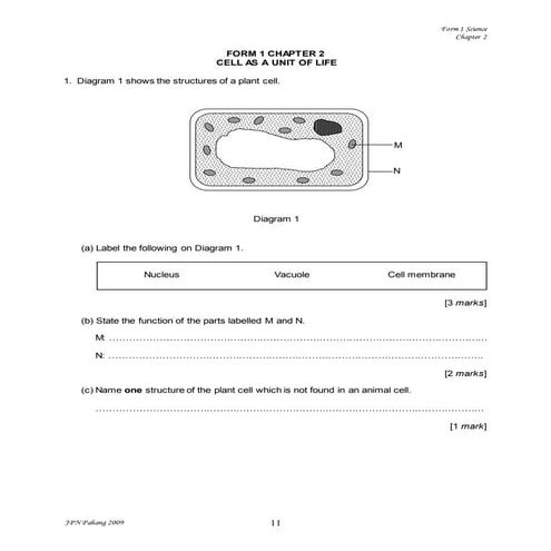 Science chapter 2 | DOC