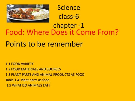 class 6 lesson 1 sources of food | PPTX