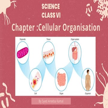 Science Class Vi Chapter cellular organisation_20250531_115334_0000.pdf