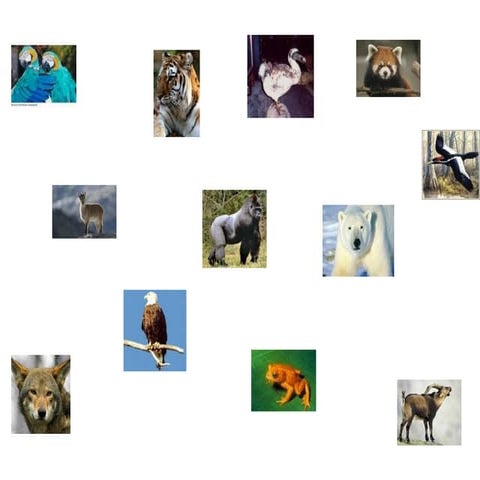 Science endangered and extinct animals | PPT