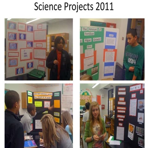Science fair 2011 | PPT