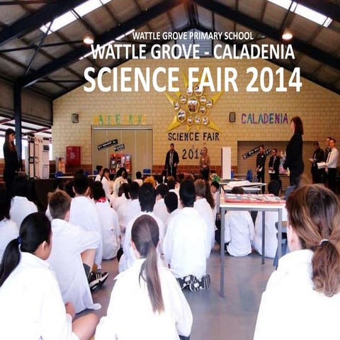 Wattle Grove Primary School - Science Fair 2014 | PPTX